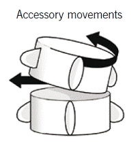 core - accessory movemnet - Parallel Coaching