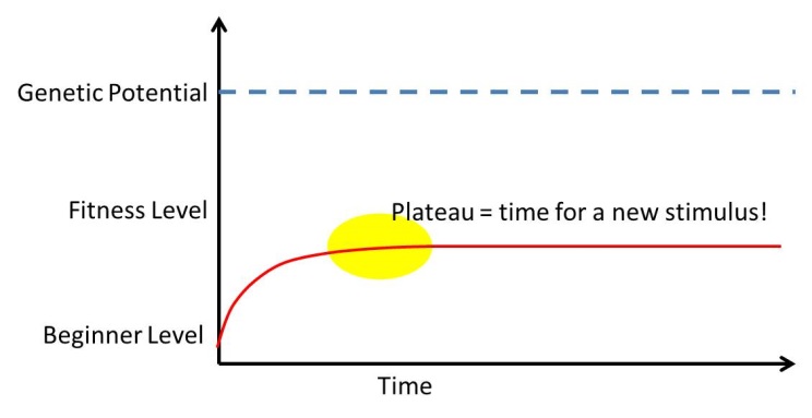 plateau - Parallel Coaching