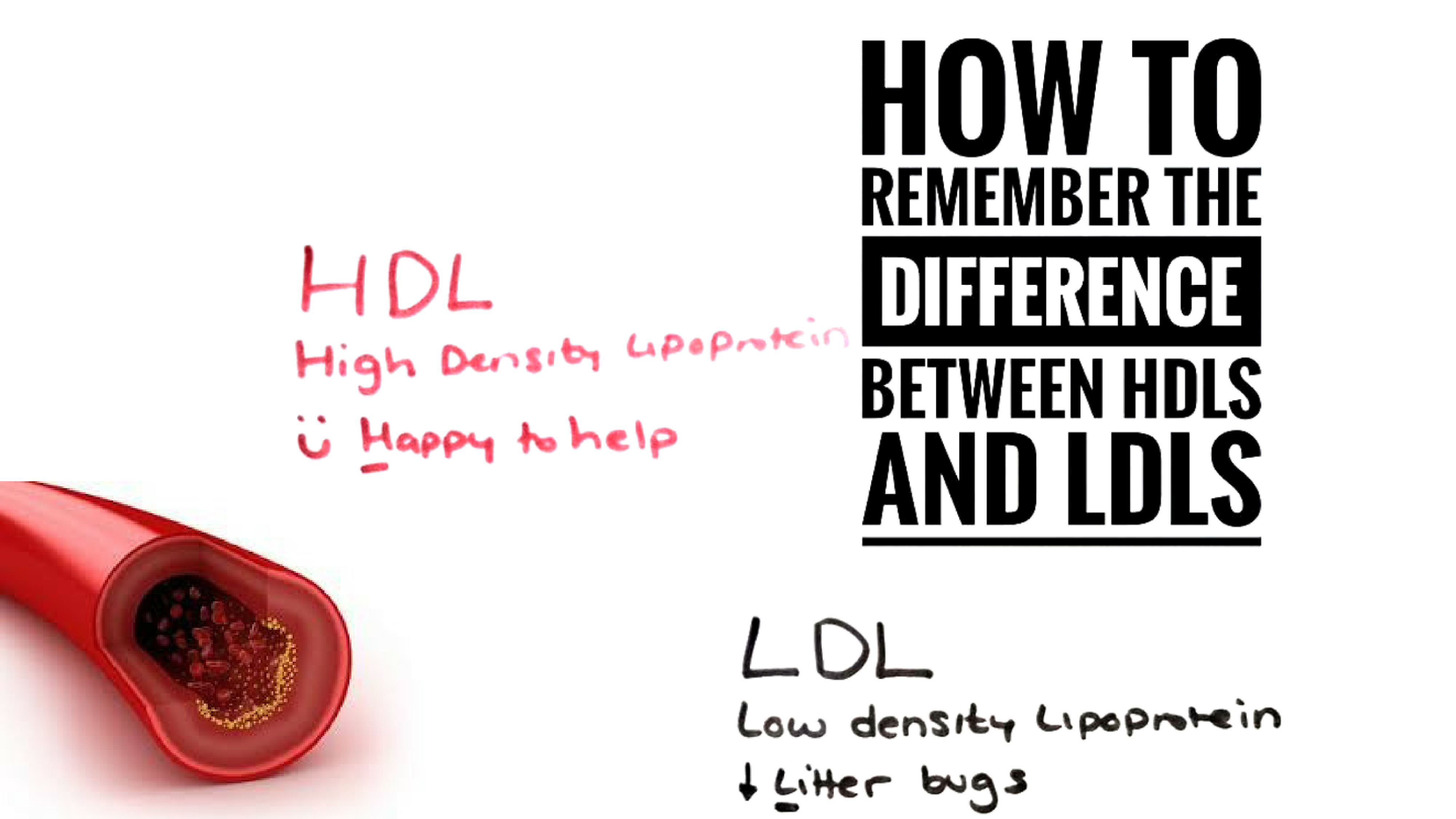 how-to-remember-the-difference-between-hdls-and-ldls-parallel-coaching