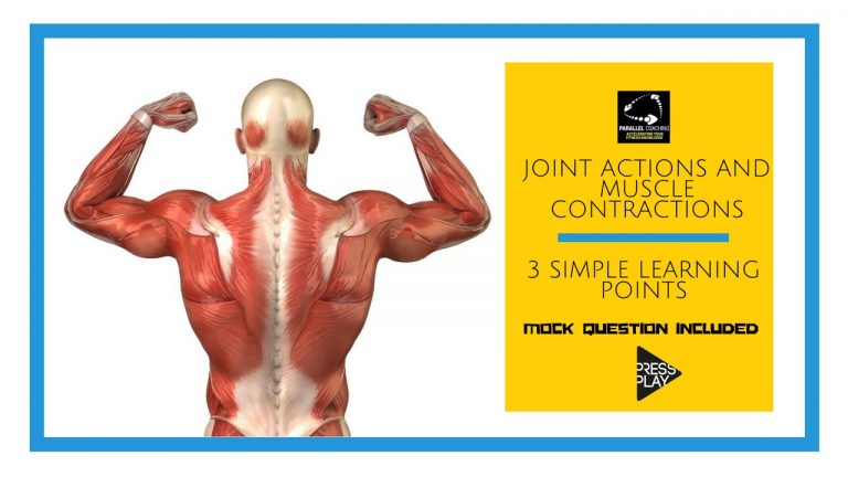 Joint Actions and Muscle Contractions in 3 simple learning points