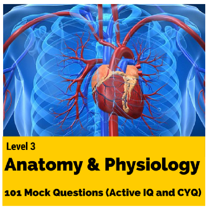 free-mock-questions-level-3-anatomy-and-physiology - Parallel Coaching