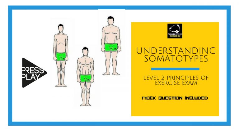 Understanding Somatotypes Level 2 Principles Revision - Parallel Coaching