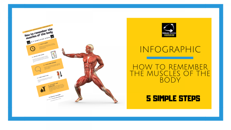 [Infographic] How to remember the muscles of the body in 5 steps