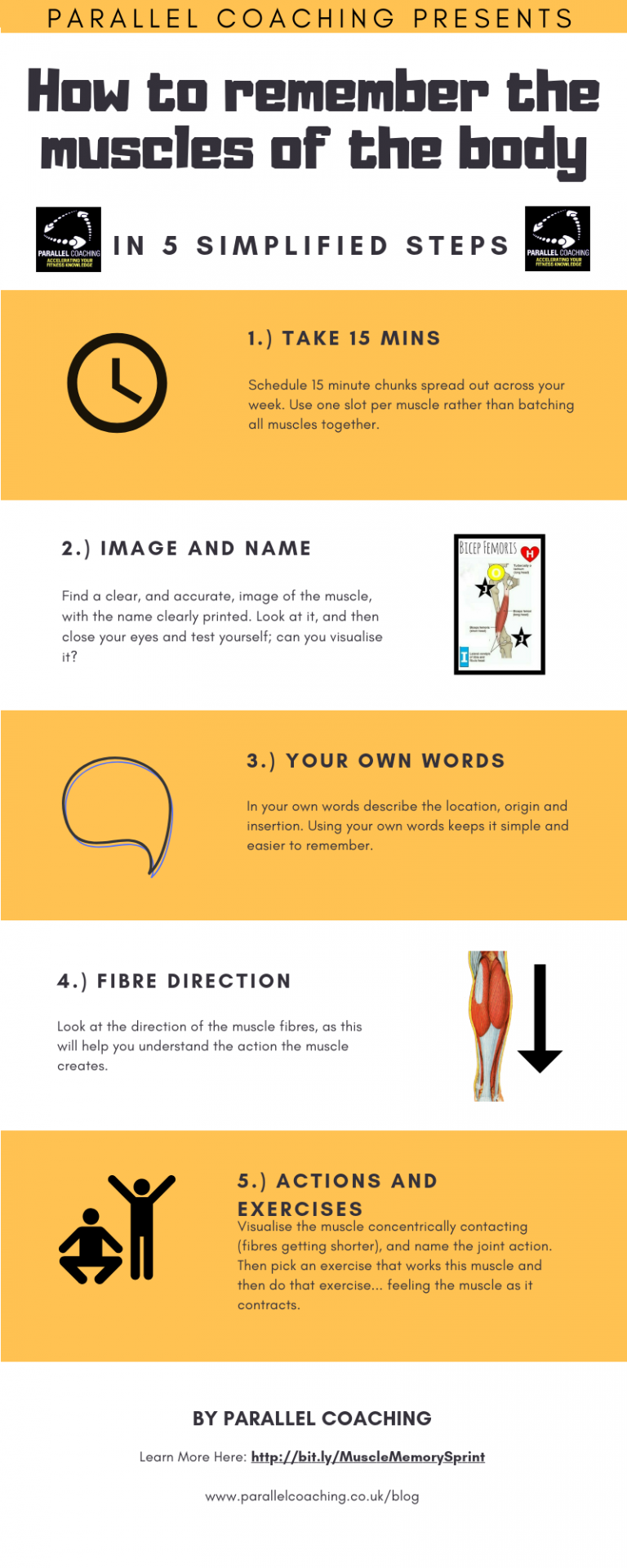 [Infographic] How to remember the muscles of the body in 5 steps