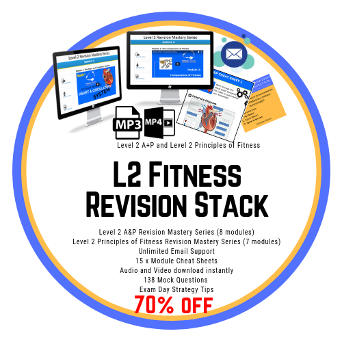 What are the three anatomical planes of movement?