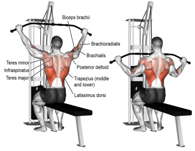 Lat Pull Down Technique: How to correct a client