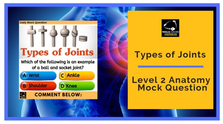 6 Types of Joints - Level 2 Anatomy Mock Question