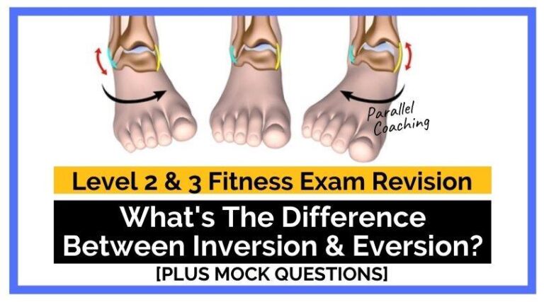 What's The Difference Between Inversion and Eversion?