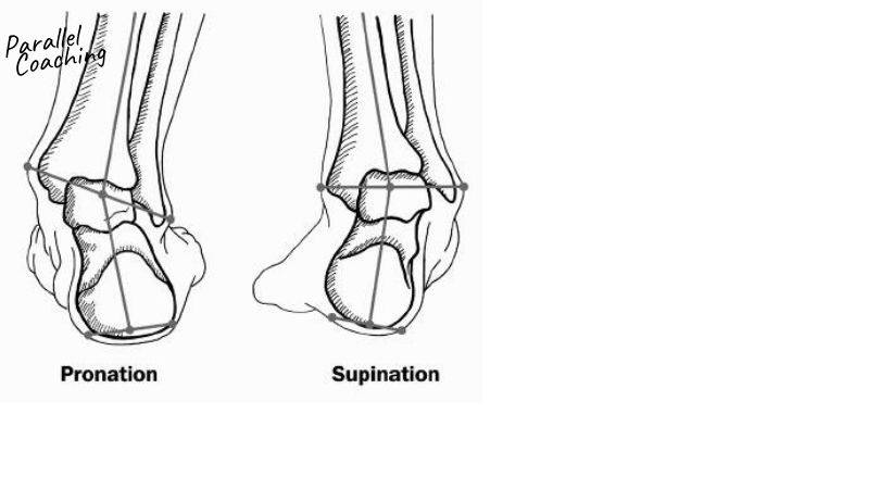 whats the difference between pronation and supination of the foot ...