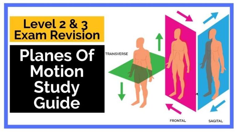 Anatomy and Physiology Study Guide – Planes of Motion