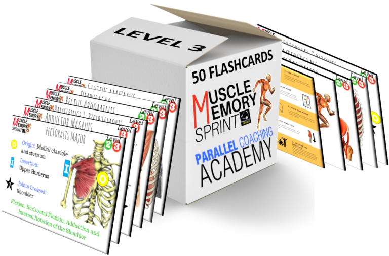 How To Learn The Origins and Insertions of Muscles