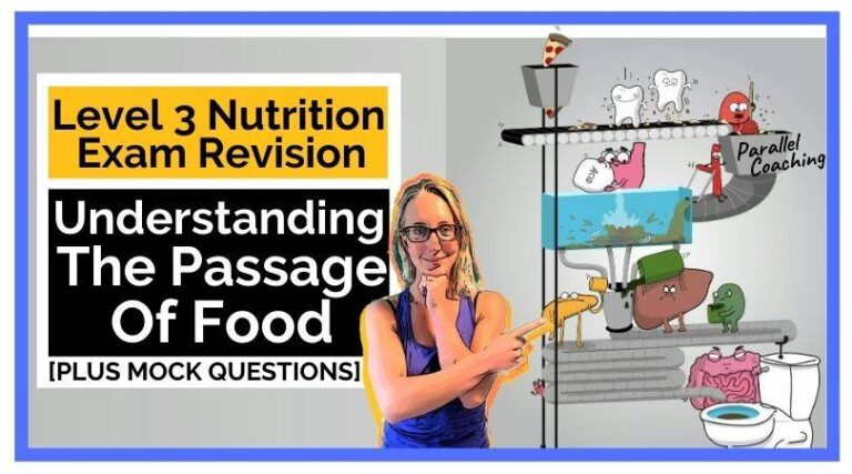 Understanding The Passage of Food - Level 3 Nutrition Revision