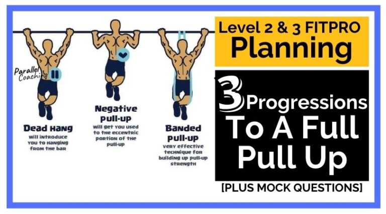 3 Progressions To A Full Pull Up - Anatomy and Physiology
