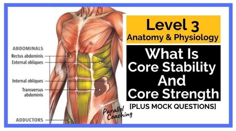 What is Core Stability and Core Strength - L3 Anatomy and Physiology