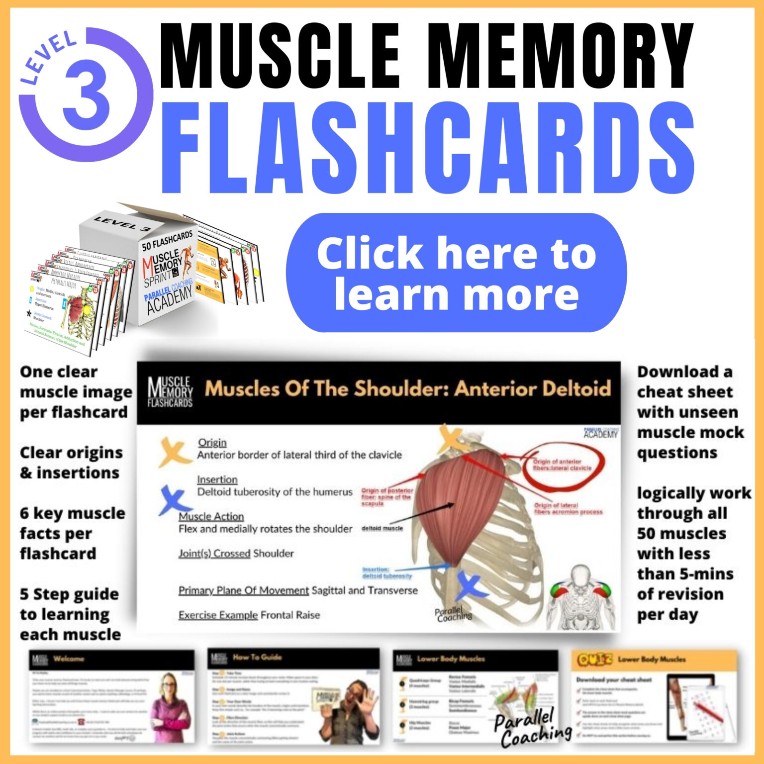 5 Steps To Remember Muscle Origin and Insertions