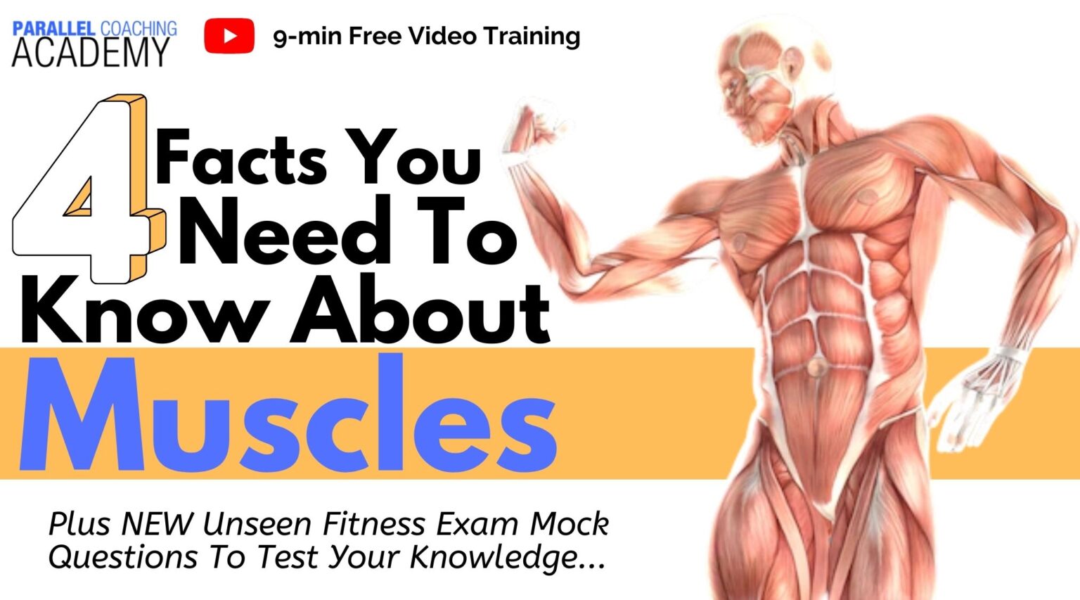 4 Facts you need to KNOW about Muscles to PASS your Level 2 Exam