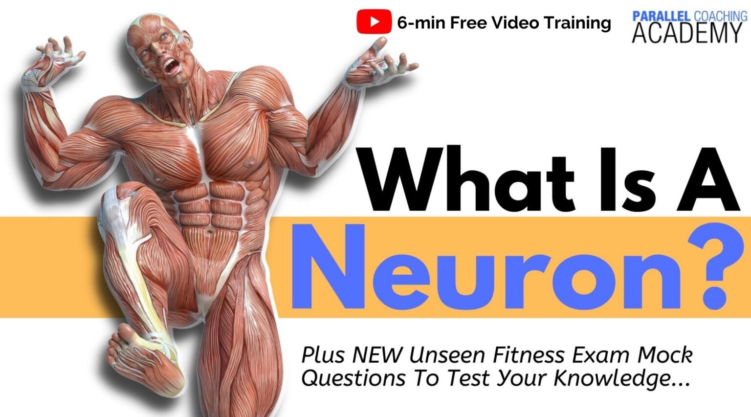 What is a Neuron? Anatomy and Physiology Revision