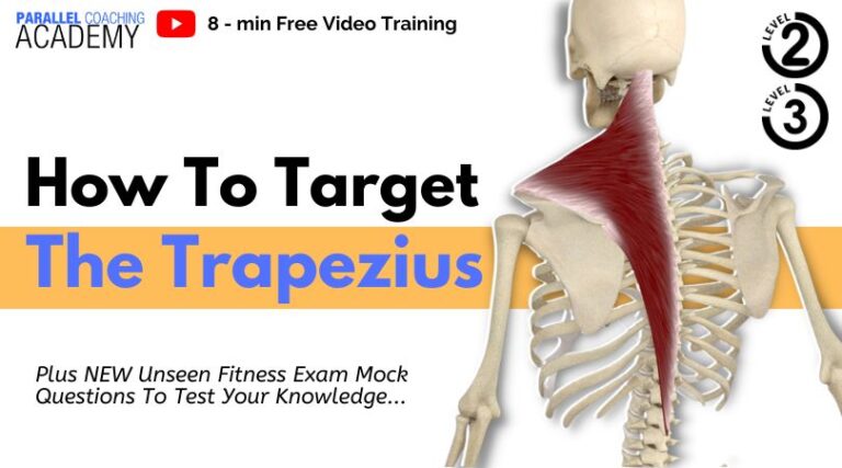 How to Target The Trapezius
