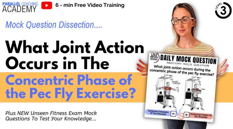 What Joint Action Occurs in The Concentric Phase of the Pec Fly Exercise?
