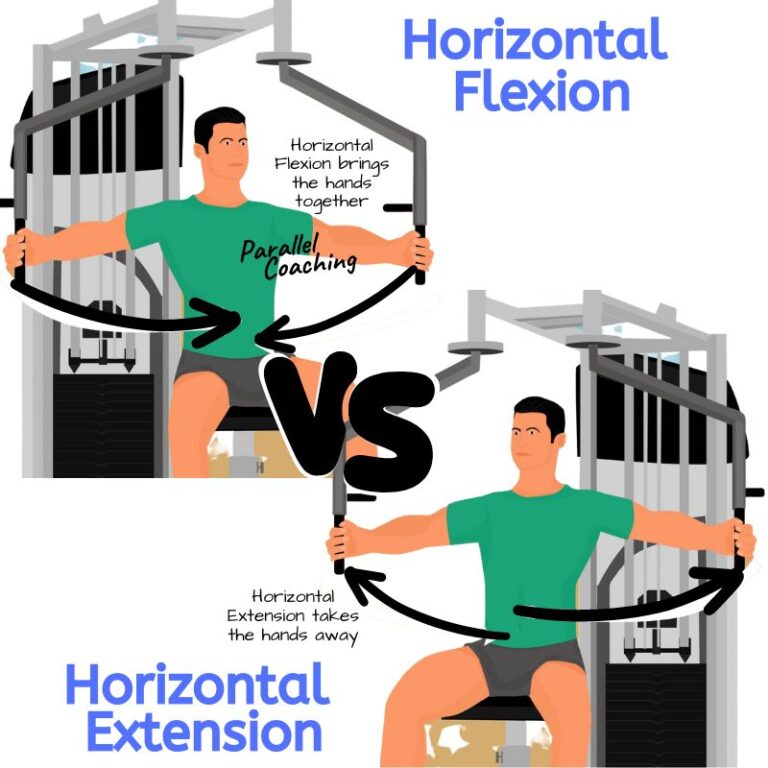 What Joint Action Occurs in The Concentric Phase of the Pec Fly Exercise?