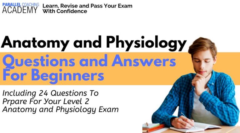 Anatomy and Physiology Questions and Answers for Beginners