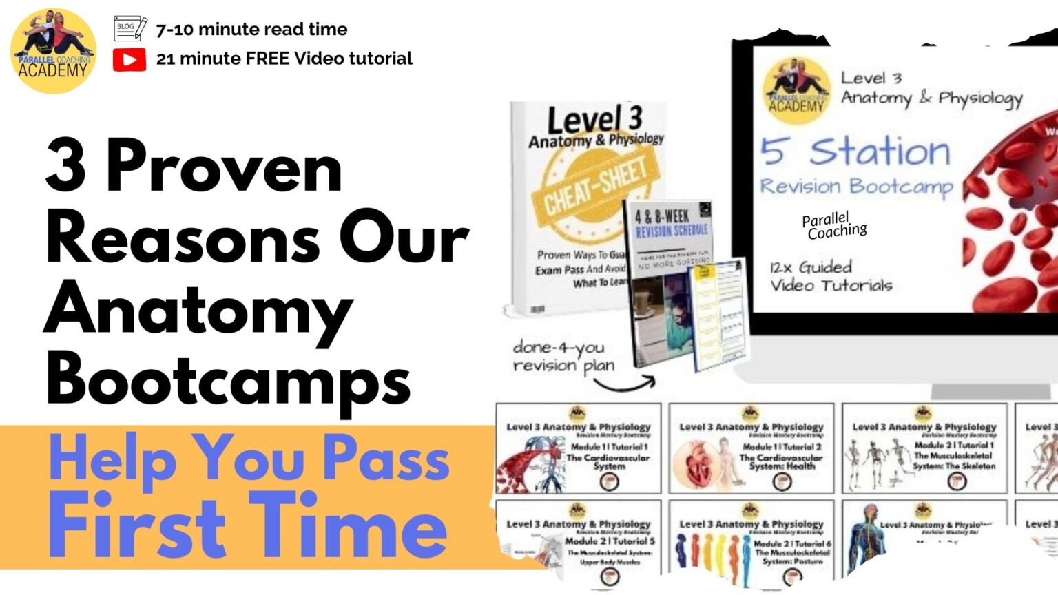 3 Proven Reasons Our Anatomy Revision Bootcamps Help You Pass First Time